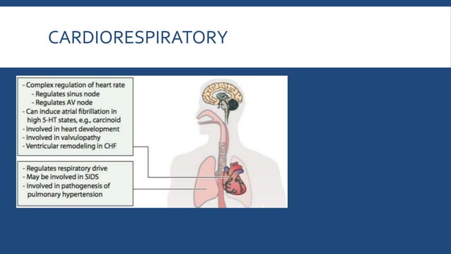 Serotonin and its role in psychiatry.pptx