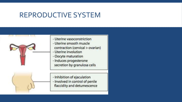 Serotonin and its role in psychiatry.pptx