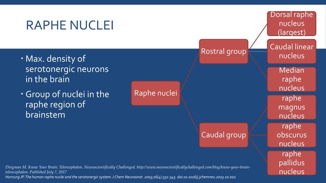 Serotonin and its role in psychiatry.pptx