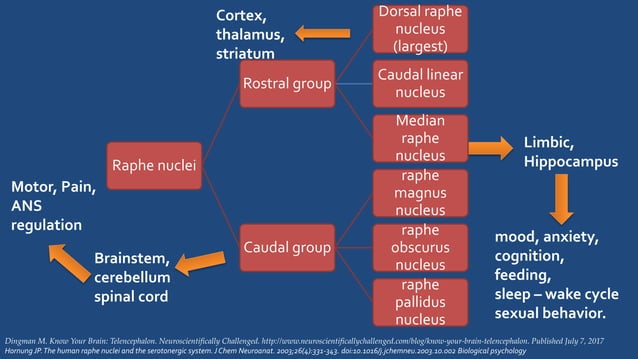Serotonin and its role in psychiatry.pptx