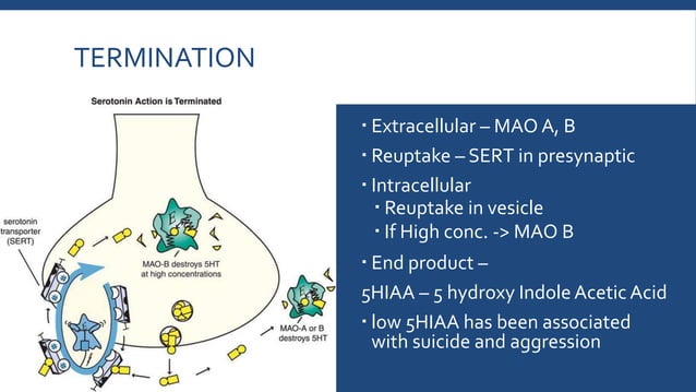 Serotonin and its role in psychiatry.pptx