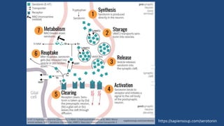 Serotonin and its role in psychiatry Aditya.pptx