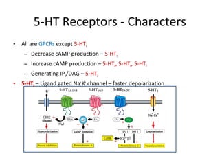5-HT Pharmacology - drdhriti | PPT