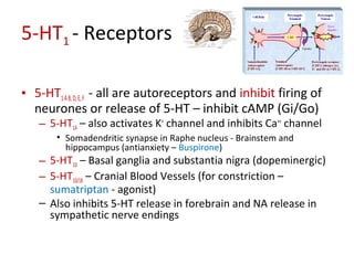 5-HT Pharmacology - drdhriti | PPT
