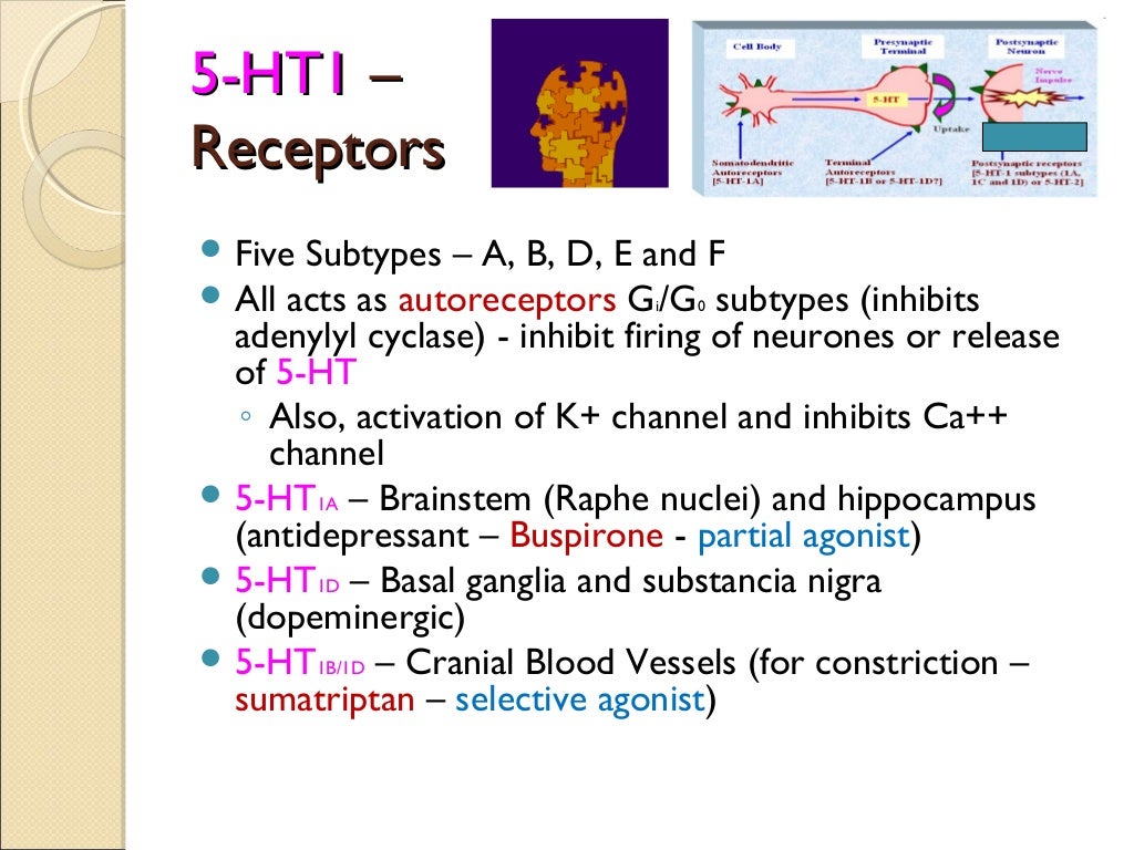 5-HT Pharmacology - drdhriti
