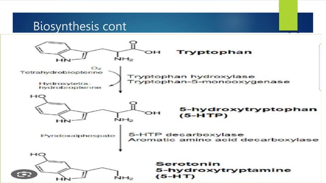 SEROTONIN for better understanding .pptx