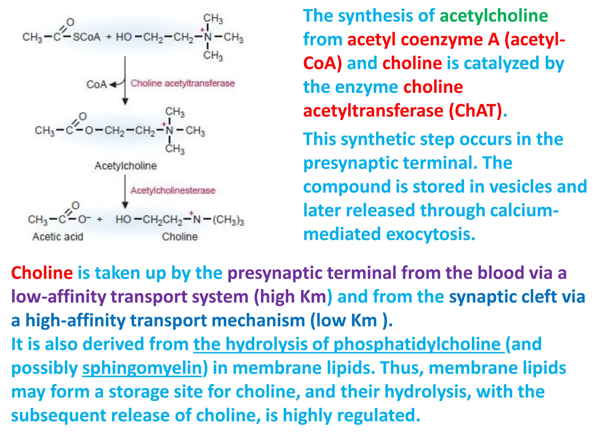 Serotonin, histamine,NO,Aspartate etc.pdf