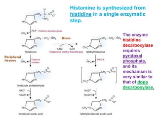Serotonin, histamine,NO,Aspartate etc.pdf