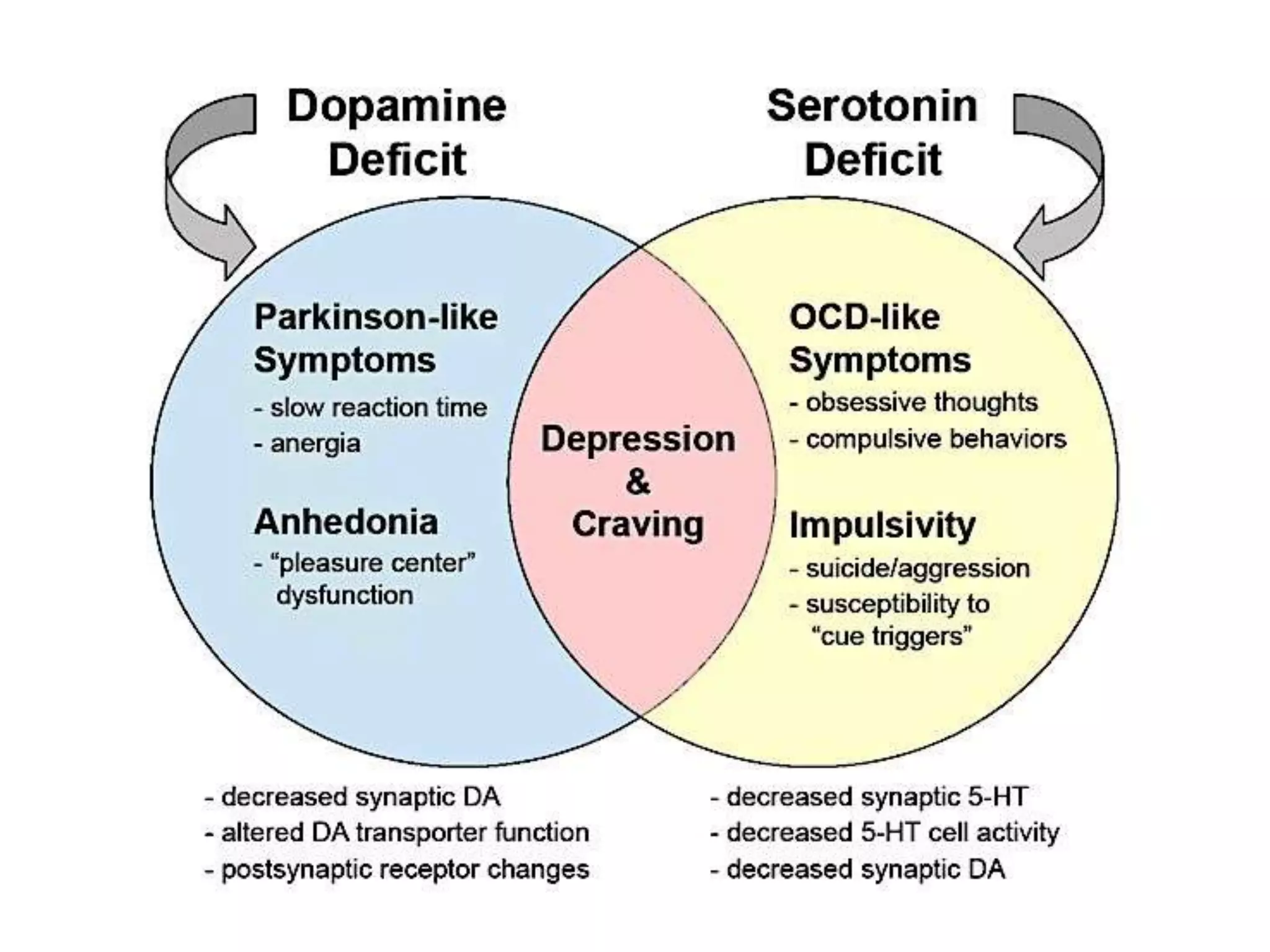 Serotonin | PPTX