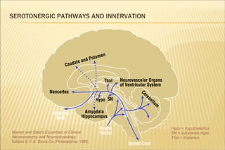 精神分裂症5-羟色胺病理生理机制 | PPT