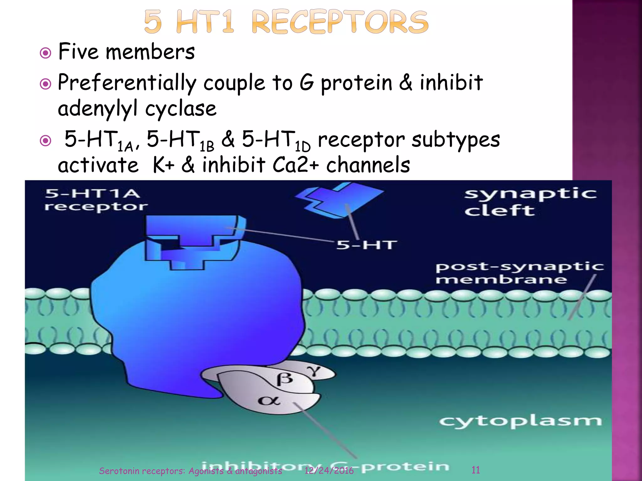 Serotonin receptors agonists & antagonists | PPTX