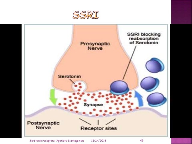 Serotonin receptors agonists & antagonists