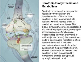 Serotonin Syndrome | PPTX