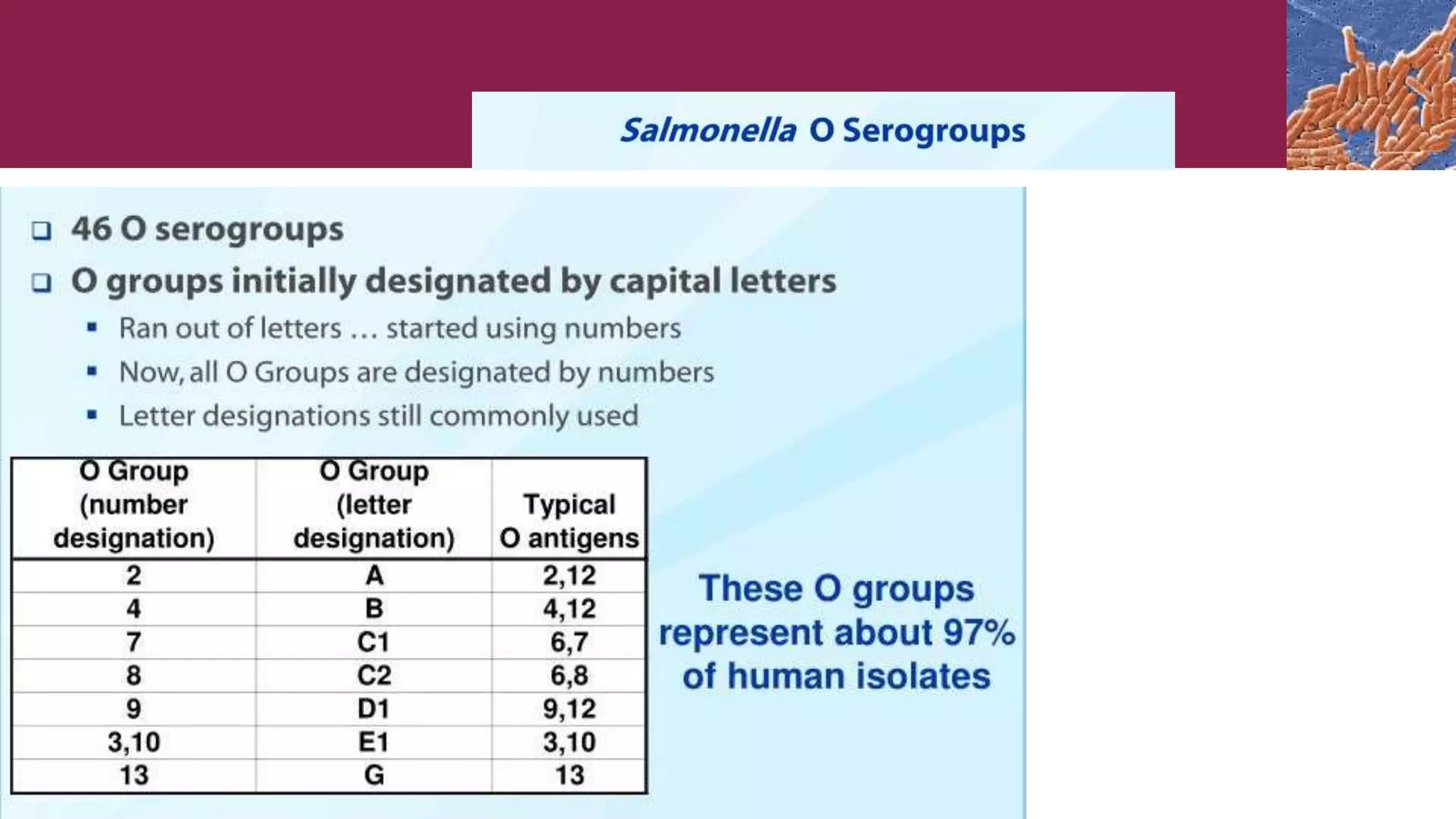 serotyping .pptx