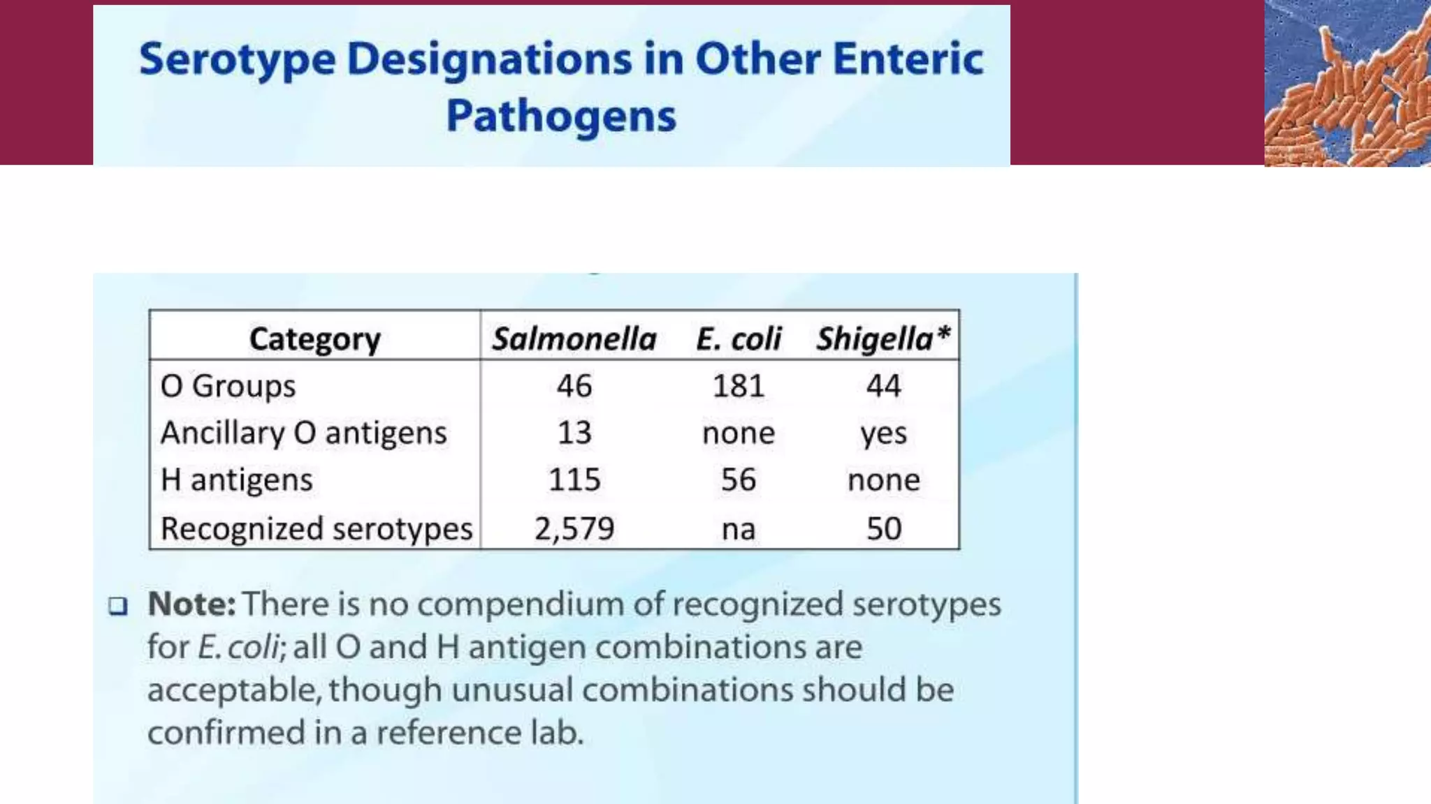 serotyping .pptx