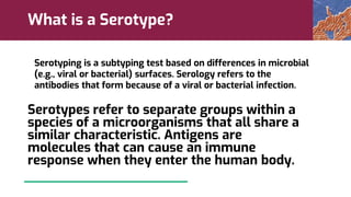 serotyping .pptx