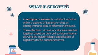 serotyping.pptx