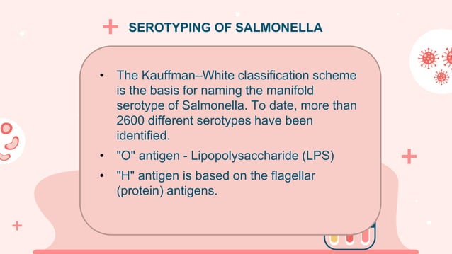 serotyping.pptx | Genetics | Science