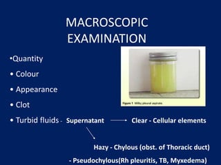 Serosanguinous Fluid