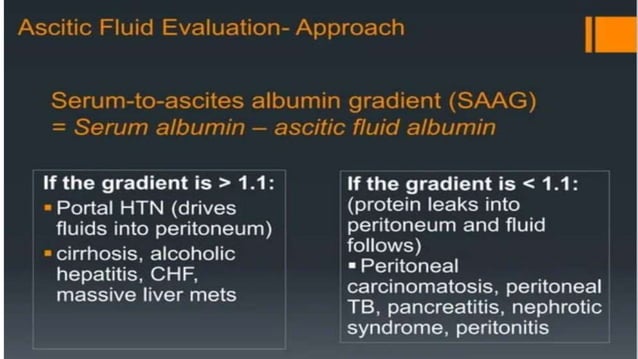 serous fluid Dr shweta [Autosaved].pptx | Lung and Respiratory Health ...