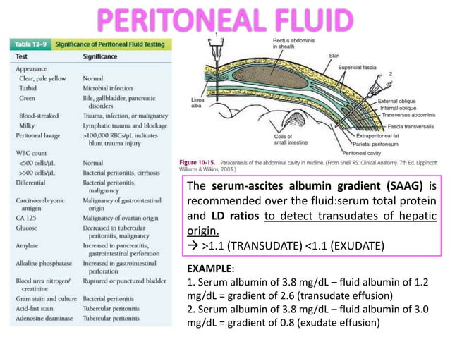 Serous fluid & gastric fluid | PPTX