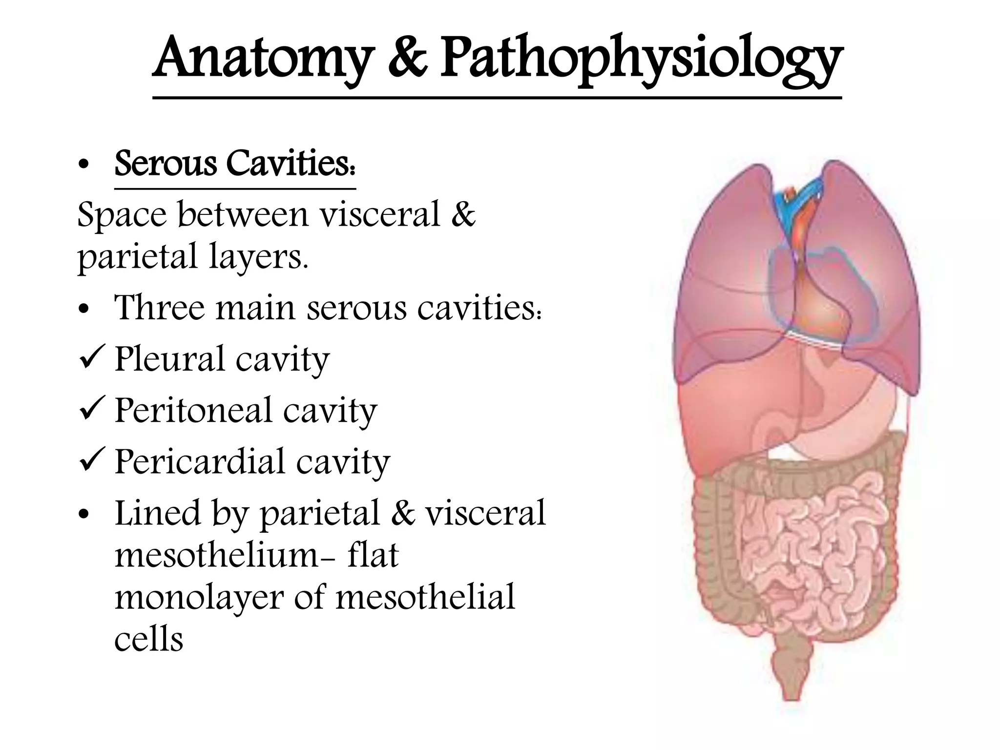 Serous pleural effusions and recent advances | PPTX