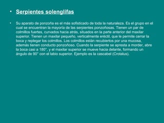 LAS SERPIENTES | PPT