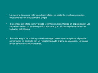 LAS SERPIENTES | PPT