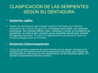 LAS SERPIENTES | PPT