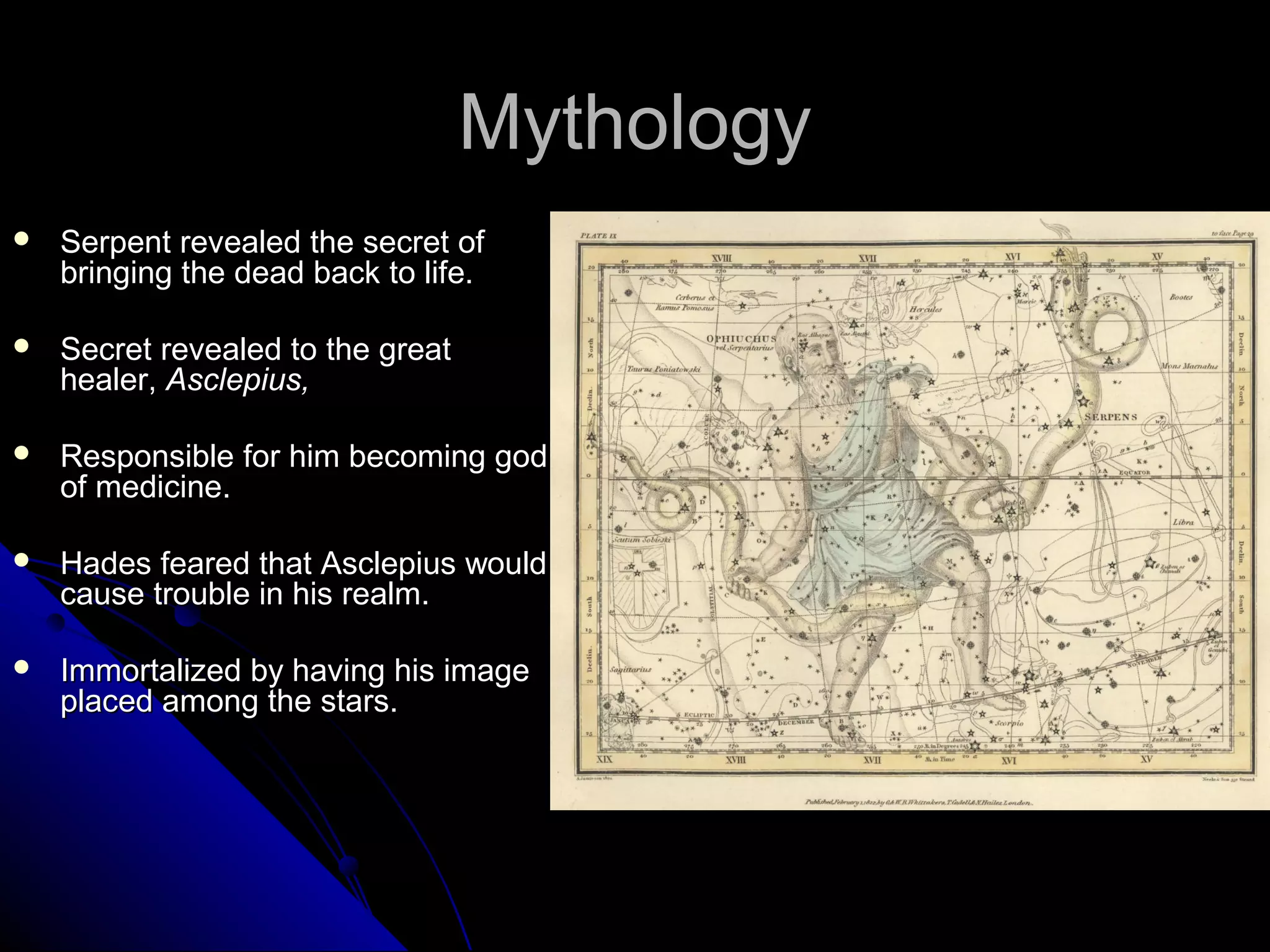 Constellation Serpens The Serpent | PPT