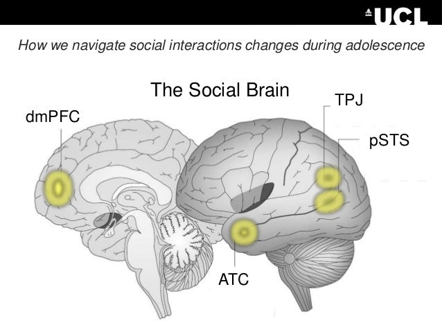 What do we know about the effects of Internet use and networked cultu…