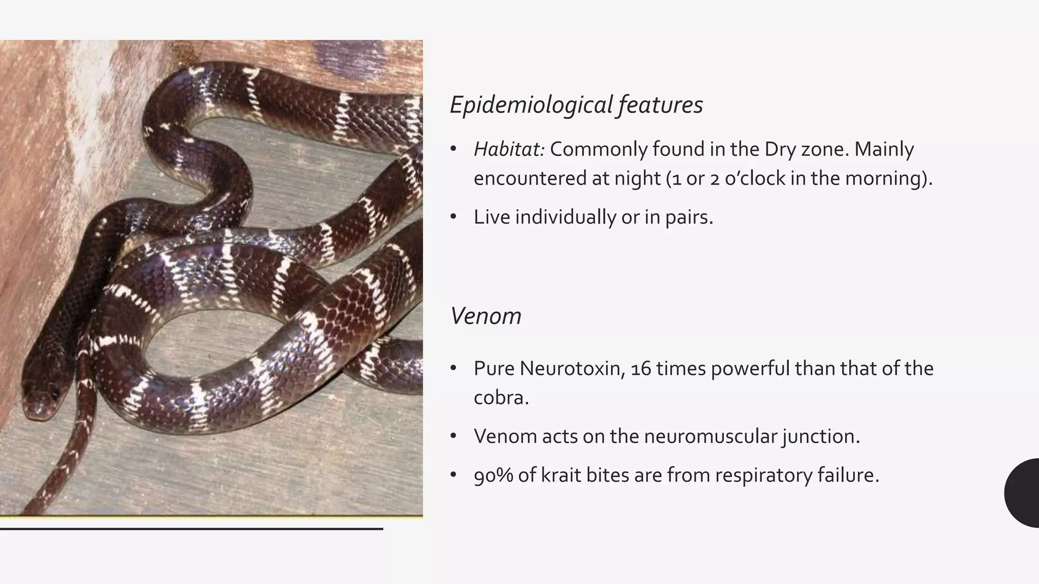 Venemous Snakes and Arthropods of Sri Lanka | PPTX