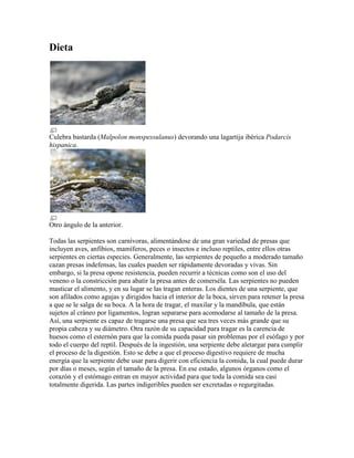Serpiente | PDF