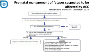 Algoritmo ACC | PPTX | Pregnancy | Reproductive Health