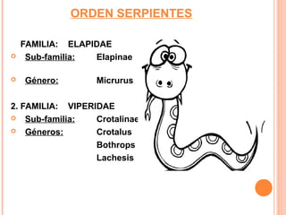 Serpientes | PPT
