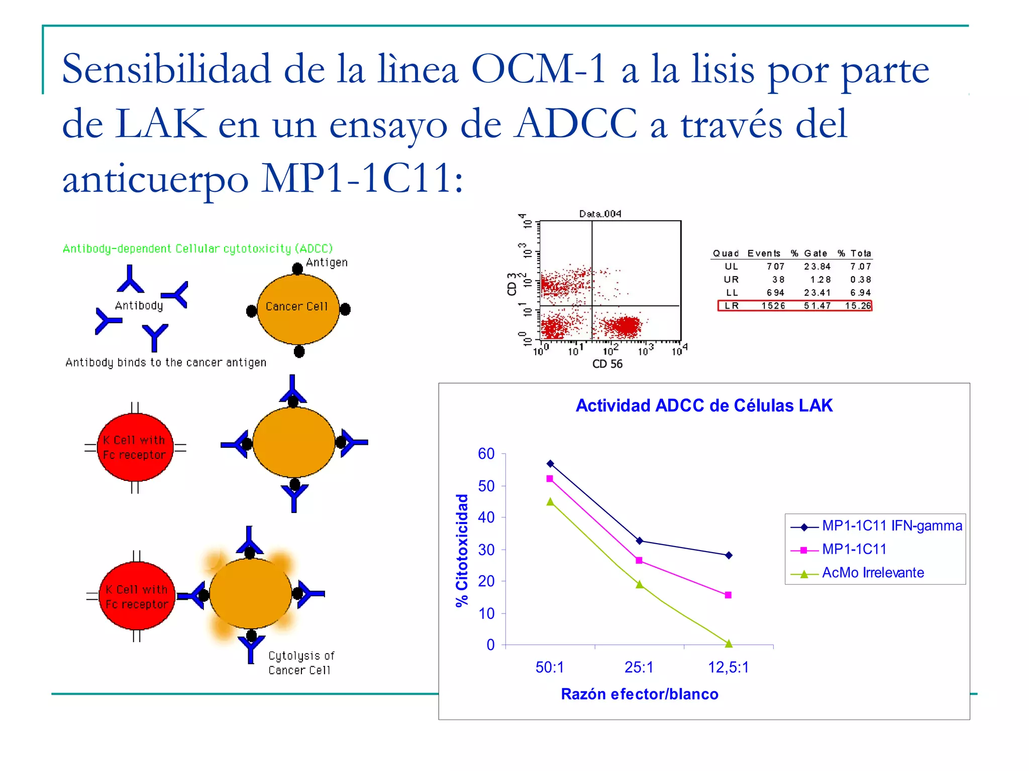 Citoquinas Proinflamatorias Inducen la Expresión del Receptor MC1R en ...
