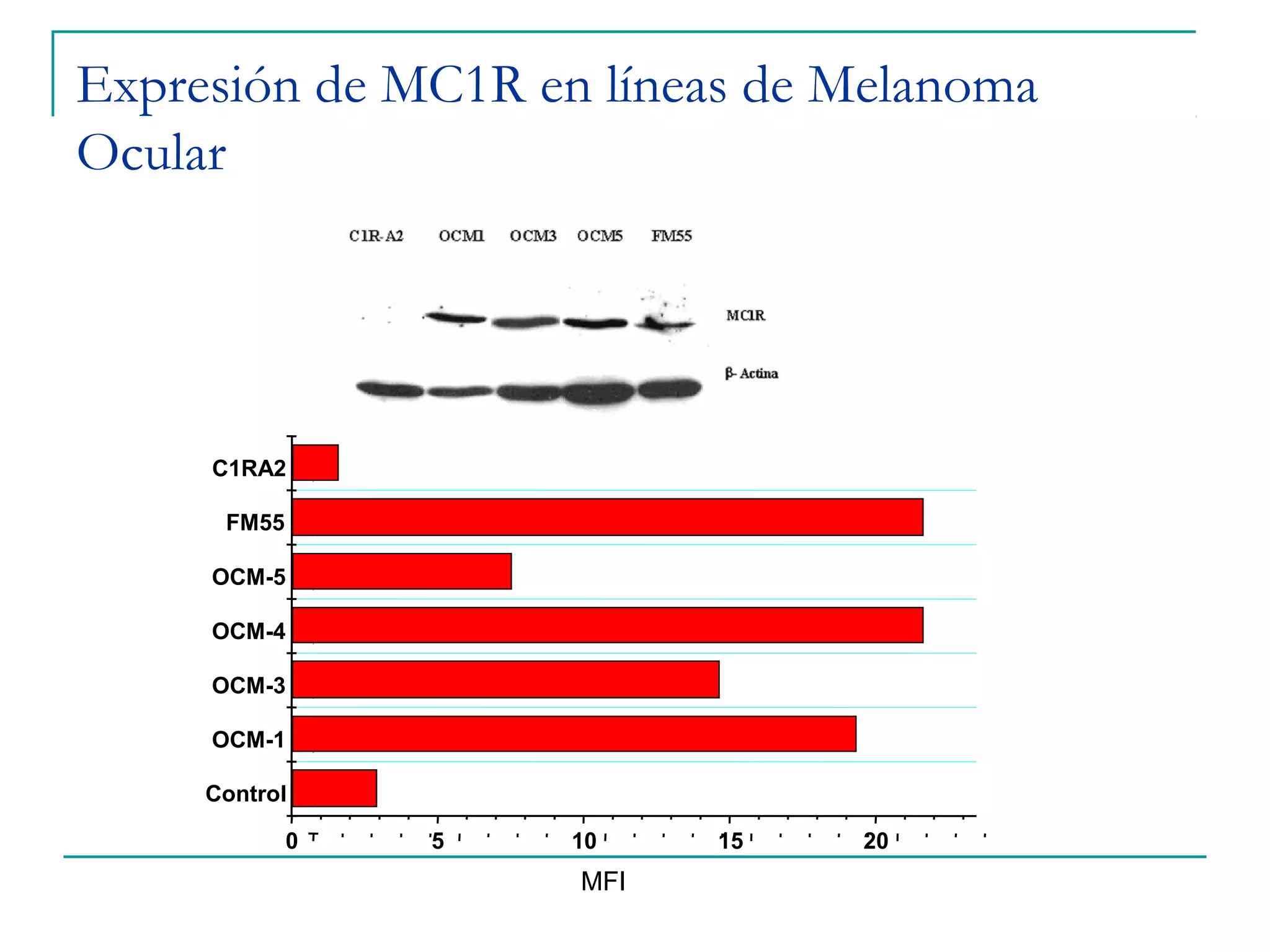 Citoquinas Proinflamatorias Inducen la Expresión del Receptor MC1R en ...