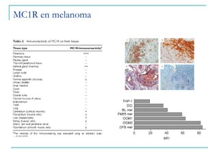 Citoquinas Proinflamatorias Inducen la Expresión del Receptor MC1R en ...