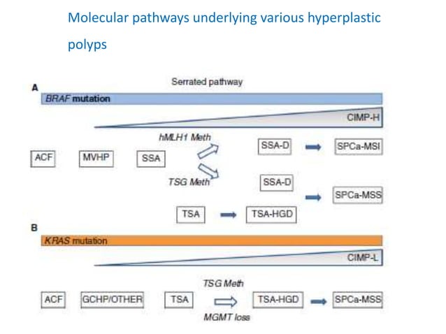 Serrated pathway to colorectal neoplasia | PPTX