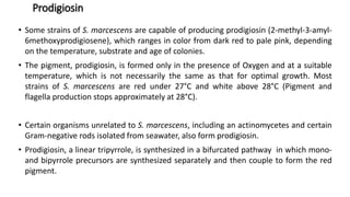Serratia | PPTX | Chemistry | Science