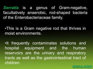 Serratia | PPTX