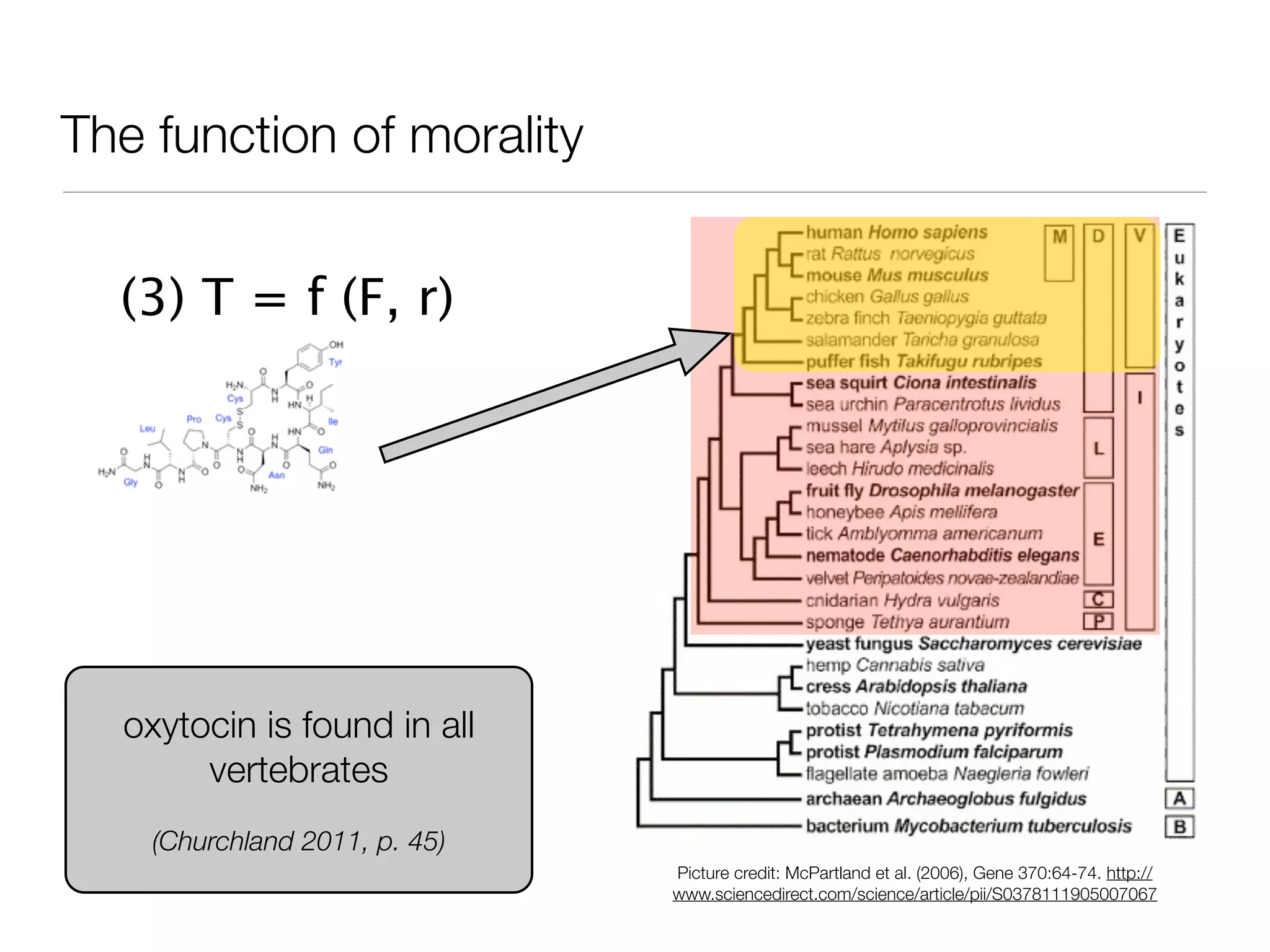 Emanuele Serrelli - Structures and functions in the evolution of ...