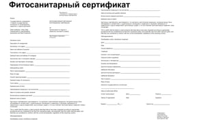 Sertifikat fito | PPT