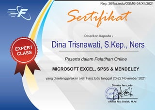Sertifikat Microsoft Excel Dina.pdf