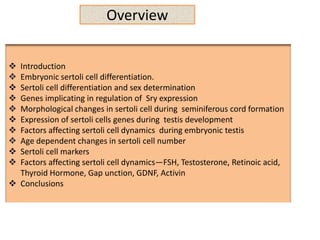 Sertoli cell credit seminar | PPTX