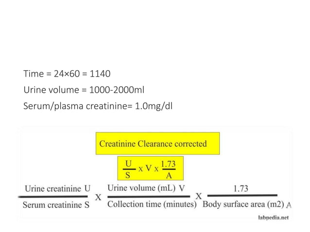 Serum creatinine | PPTX | Blood Disorders | Diseases and Conditions
