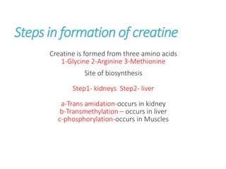 Serum creatinine | PPTX