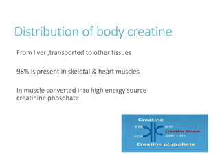 Serum creatinine | PPTX