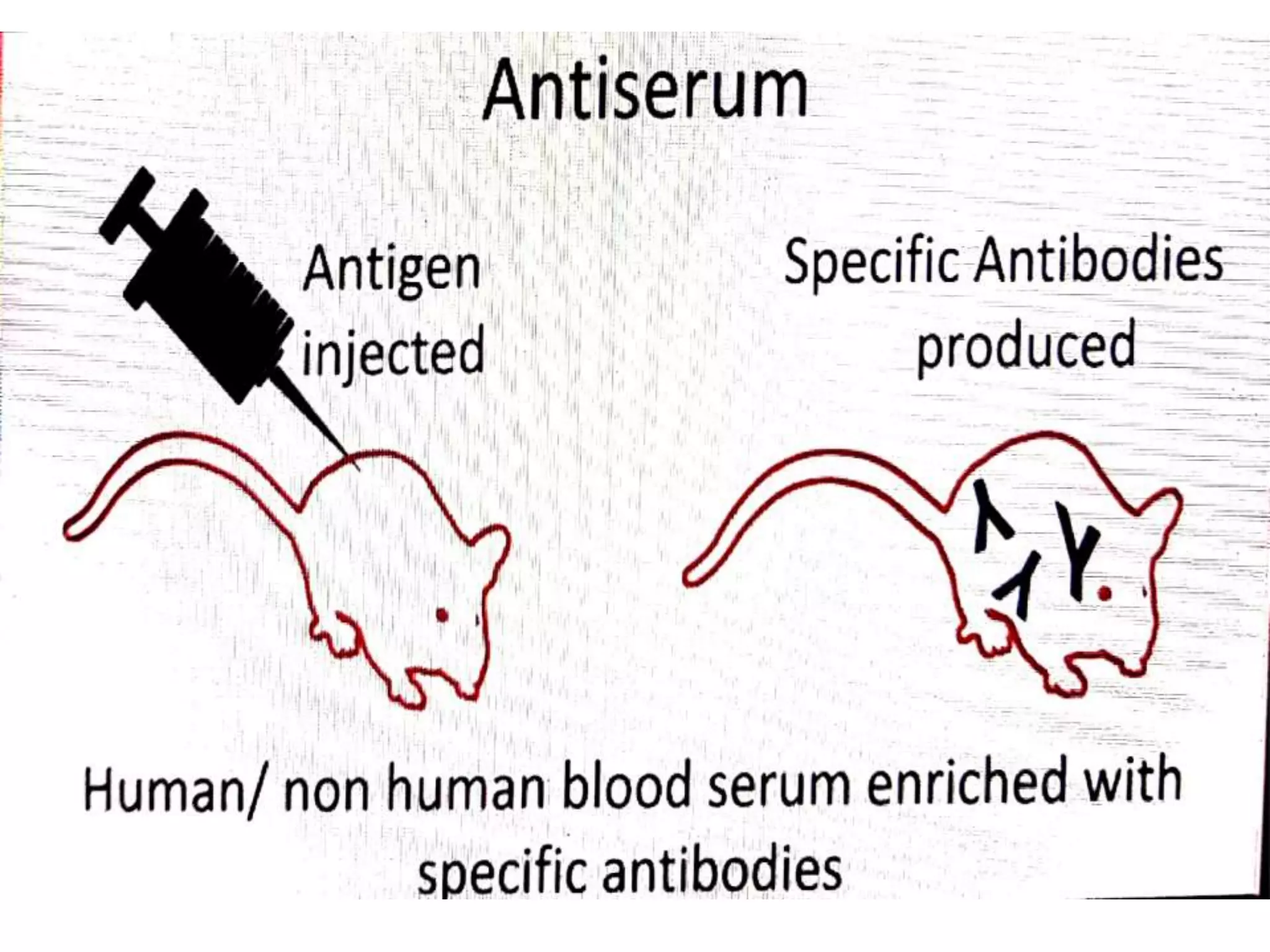 Serum dvts-Blood Products & antitoxin | PPTX