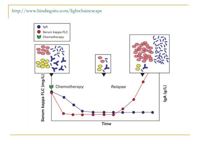 SERUM FREE LIGHT CHAIN ASSAY